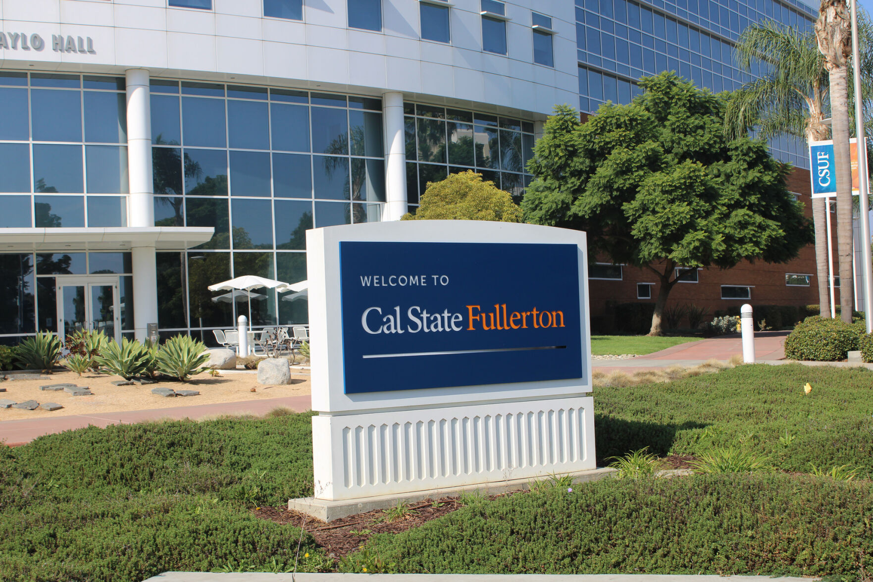 New freedom of expression training introduced across CSU | News ...
