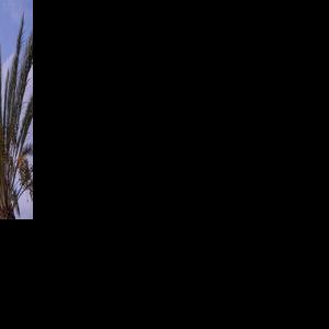 Editorial: As women in journalism, we don't ask for much — just ...