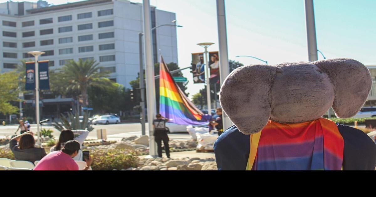 CSUF allows students to display pronouns on Canvas | Campus News ...