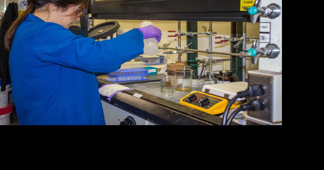 CSUF student Stacy Guzman receives award for cancer research ...