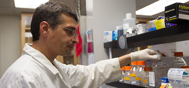 CSUF professor examines stress effects on body | Campus News ...