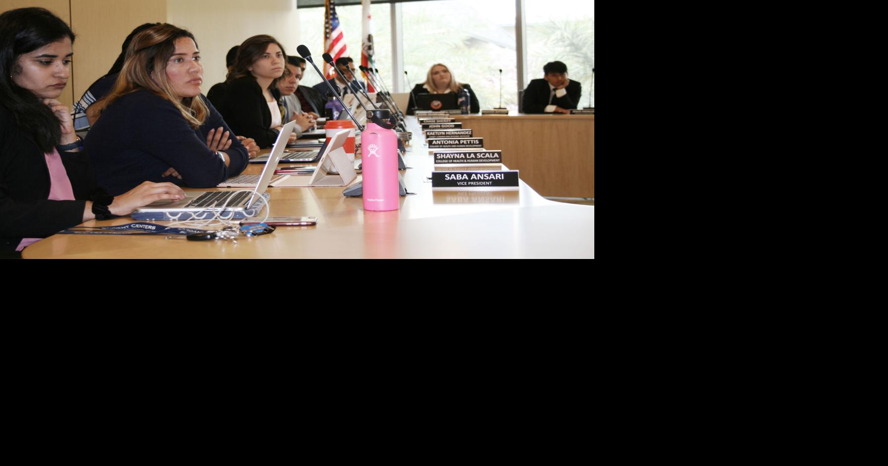 ASI board of directors approve staff training towards disabled students ...