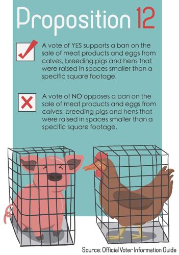 Proposition 12: What a yes or no means for farm animals | News ...