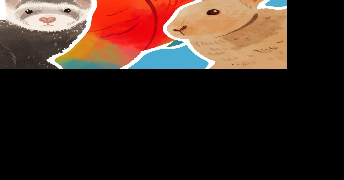 Difficult pets for first time owners | Lifestyle | dailytitan.com