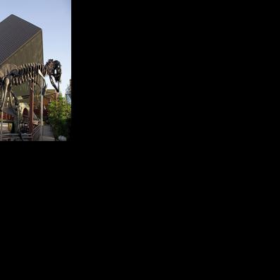Discover the Indiana Jones exhibition | Lifestyle | dailytitan.com