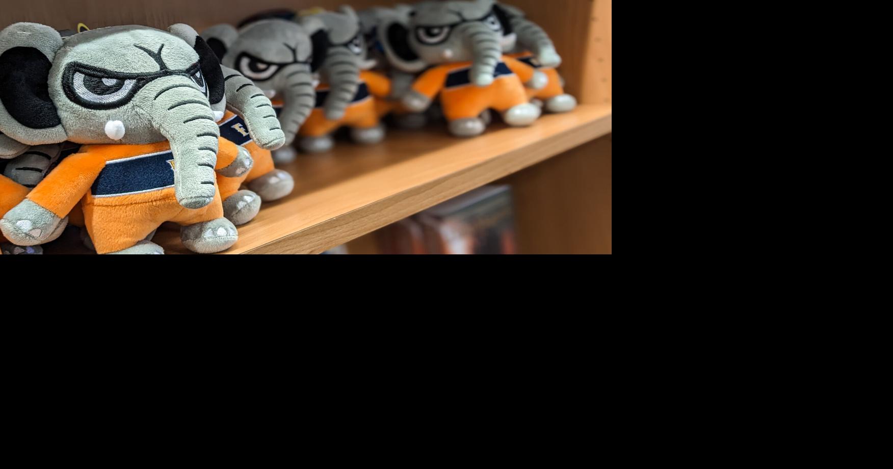 Tuffy the Titan to be redesigned by 2027 | Campus News | dailytitan.com