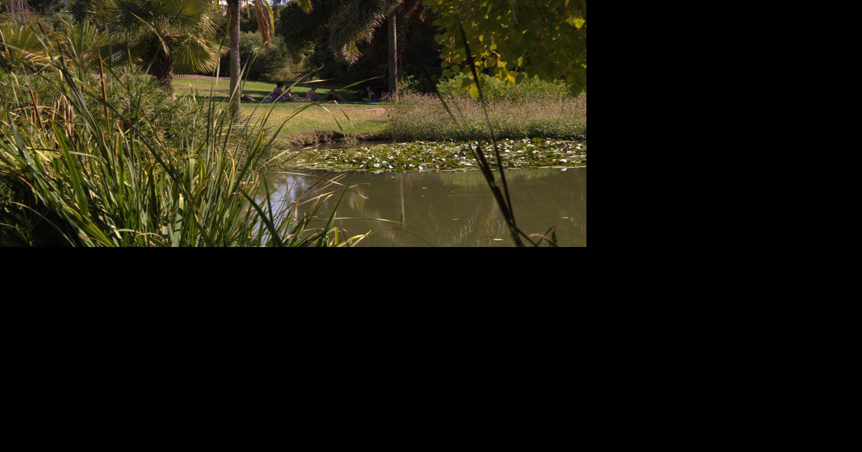 Fullerton Arboretum struggles to financially adjust to prolonged ...