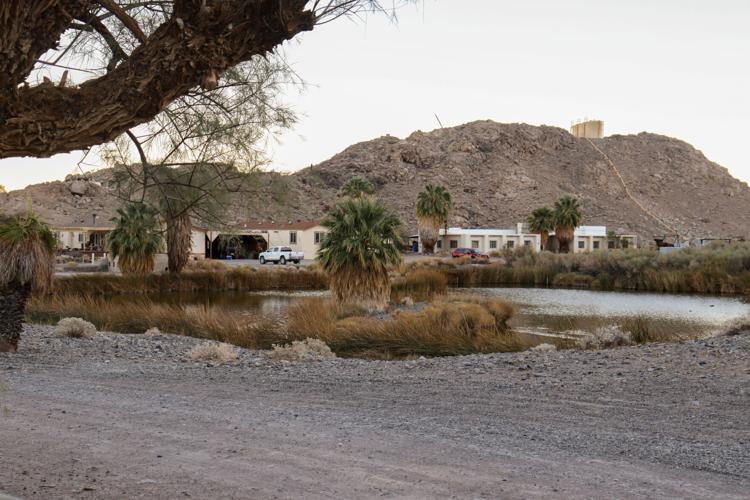A look into CSUF's desert research center | Campus News | dailytitan.com