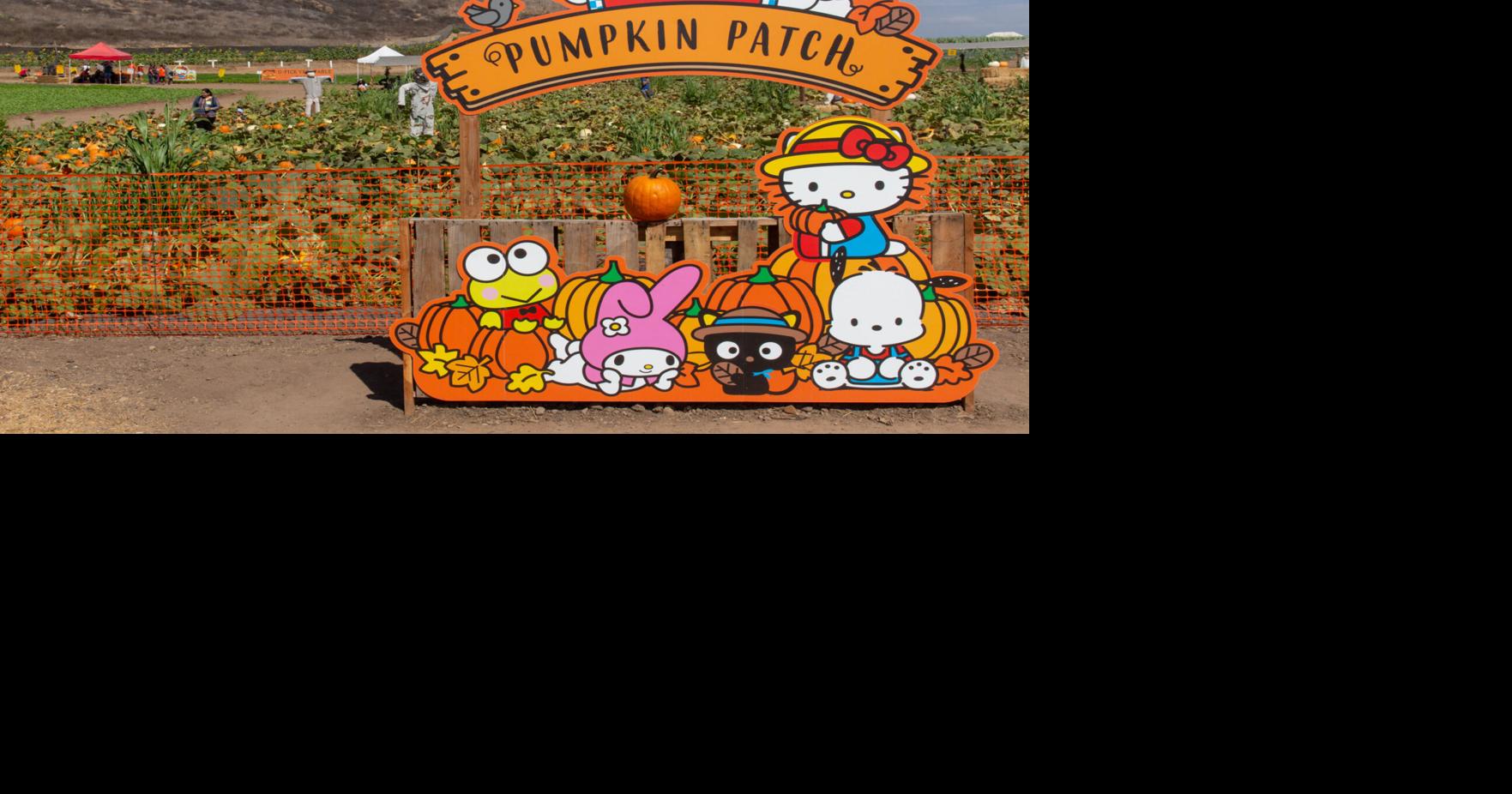Tanaka Farms kicks off the fall season with a visit from Hello Kitty ...