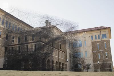Experimental Sciences public art piece reflects Tech’s architecture ...