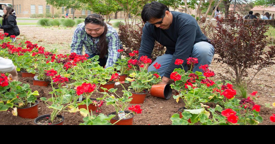 Tech Arbor Day tradition provides involvement opportunities | La Vida ...