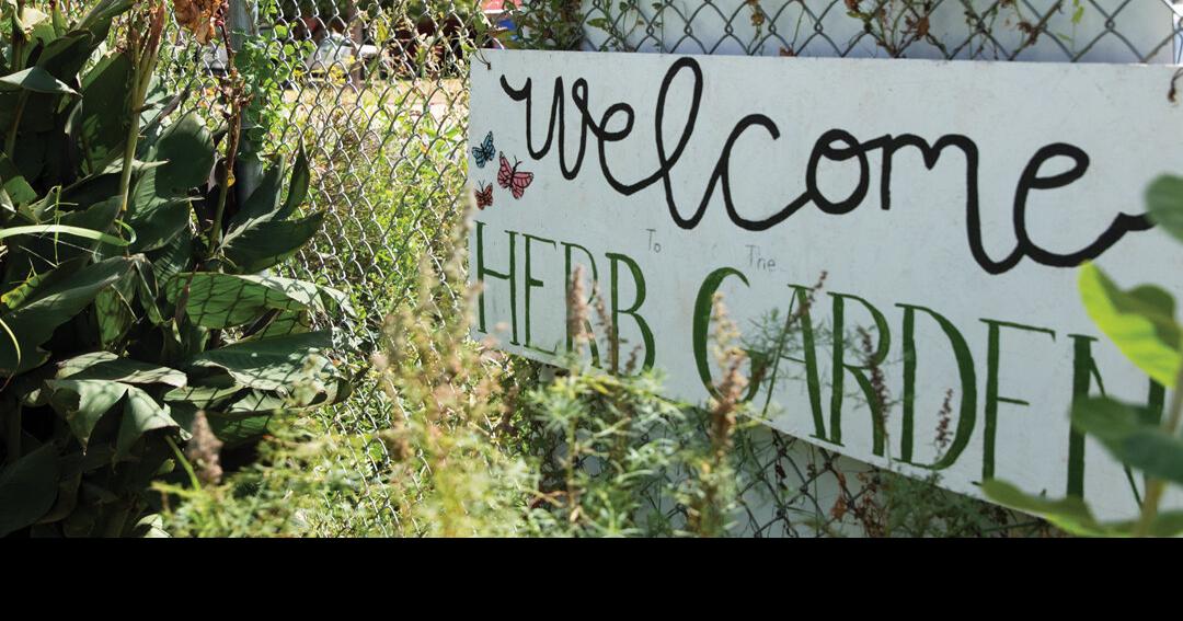 GRUB Farms and Raider Red’s Food Pantry help students in need | News ...