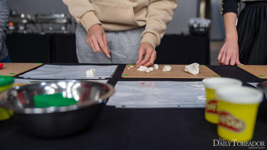 Students practice correct knife techniques during demonstration ...
