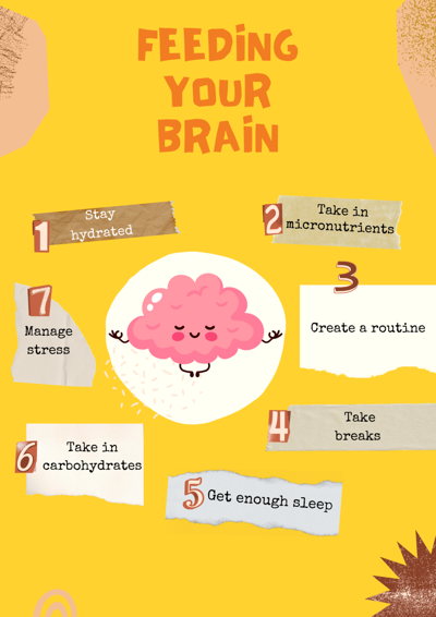 Feeding your brain for final test success | La Vida | dailytoreador.com