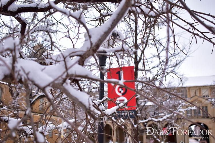 Snow fall, giant snowball on Texas Tech campus | Gallery ...