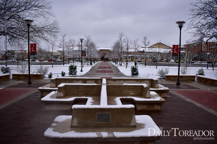 Snow fall, giant snowball on Texas Tech campus | Gallery ...