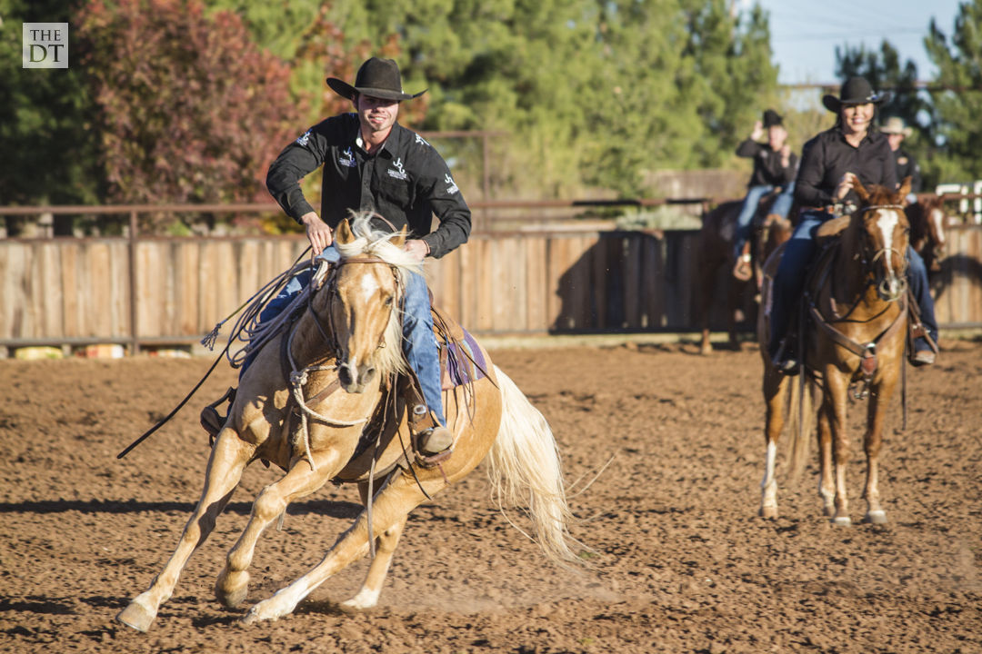 Tech Ranch Horse Team showcases horses, riders | Profiles ...