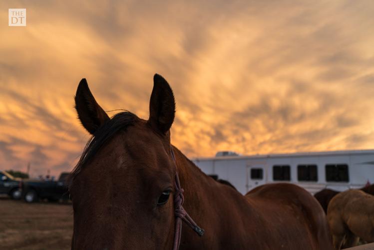 Texas Tech Rodeo Association members compete in championships | La Vida ...