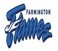 RRL Baseball: Flames burn Pioneers with ninth inning rally | Local ...