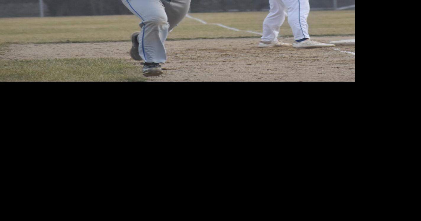 Baseball roundup: L-Cats, Warriors, Panthers win season openers ...