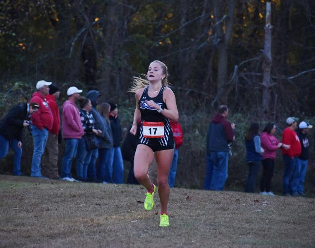 WIAA cross country: D/C's Drobac sisters qualify for state; Eagles ...
