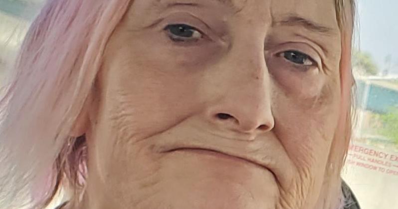 Debra H. (Polinsky) Moll | Obituaries | dailyunion.com