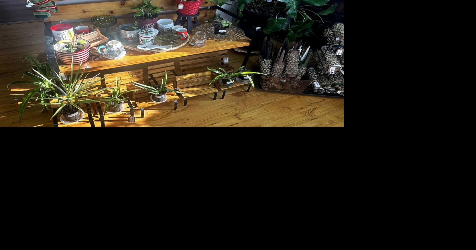 'A good opportunity.' New plant shop, Vines and Vices, opens in Fort ...