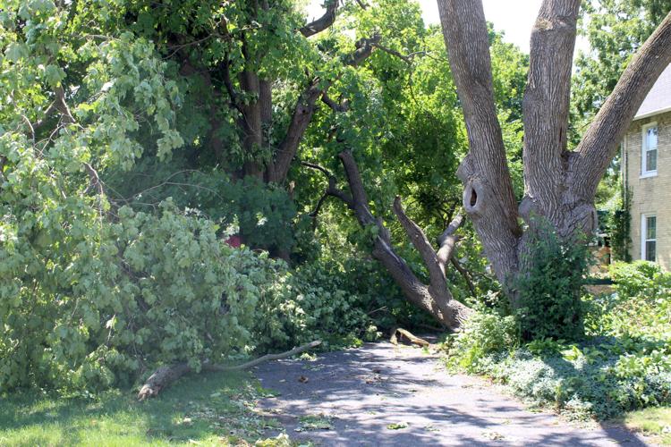 Storm causes power outages, downed trees across county | News ...