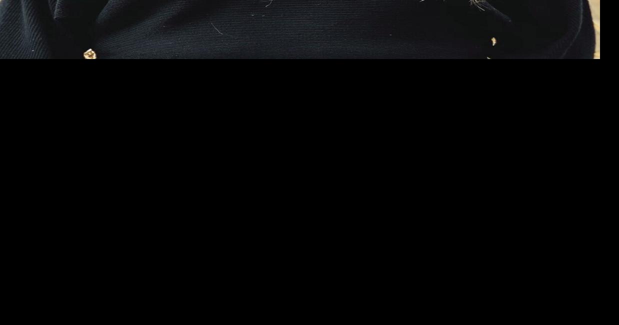 Devan Frank | Profiles | dailyunion.com