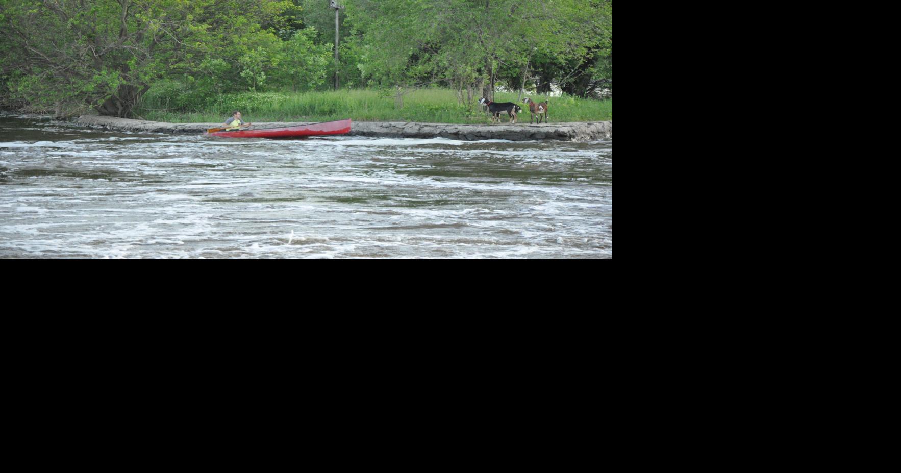 Good Samaritan risks high waters to save drowning goat | News ...