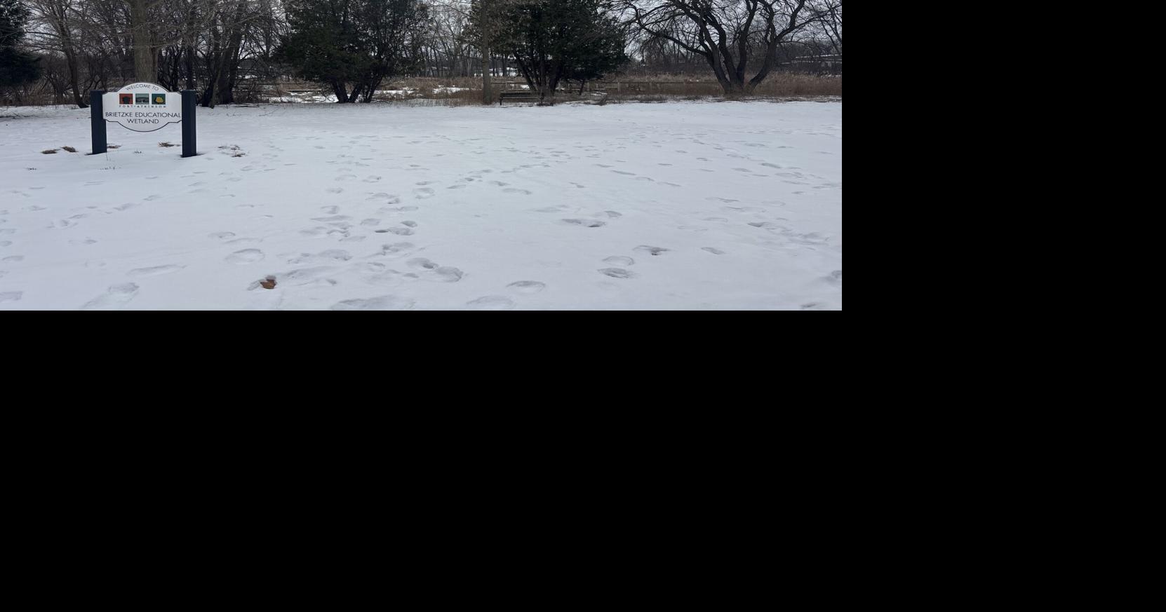 Project LEAD sets to renew Brietzke Educational Wetland | Local ...