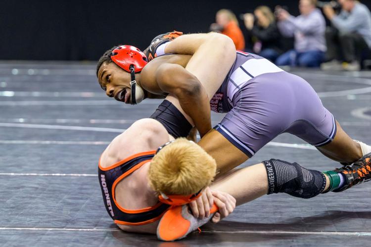 Whitewater's Porcaro earns fourth place medal at state tournament ...