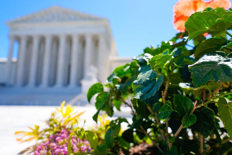 Supreme Court rules states can count late-arriving mailed ballots ...