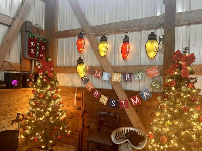 Furry and Bright: Animals join in Christmas at Busy Barn Adventure Farm ...