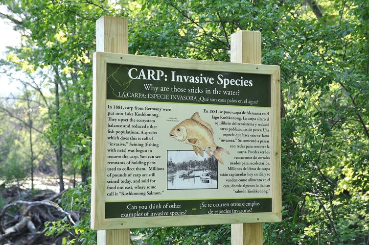 Interactive signs up at Haumerson Pond | News | dailyunion.com