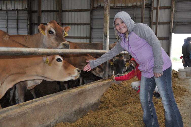 KUTZ FARM TOUR | Photo Galleries | dailyunion.com