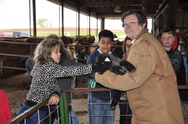 KUTZ FARM TOUR | Photo Galleries | dailyunion.com