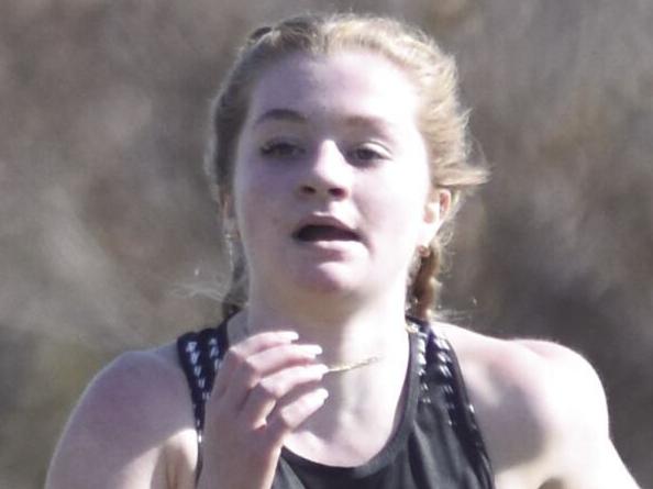 Deerfield/Cambridge's Emmerson Drobac, McKenna Michel qualify for state ...