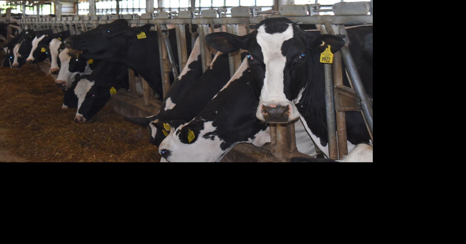 Bill to prevent local restrictions on large farms supported by ag ...