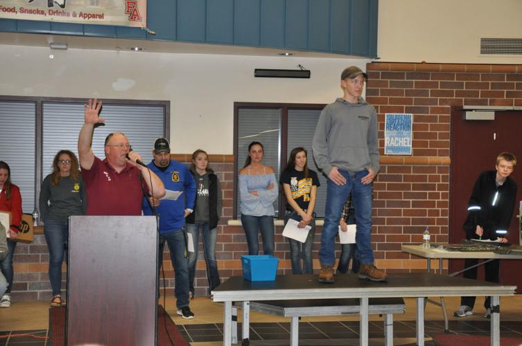 BID HIGH AND BID OFTEN! | Photo Galleries | dailyunion.com