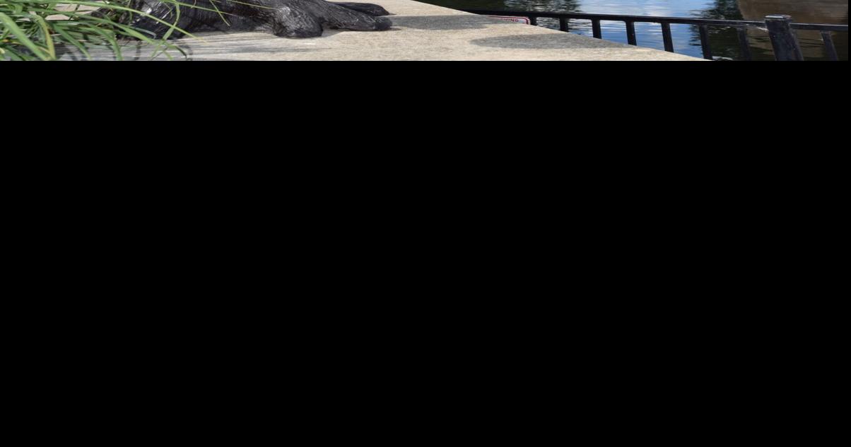 'Fishing Boy' debuts on Riverwalk | Fort Atkinson | dailyunion.com