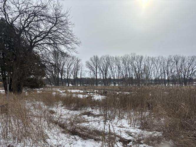 Project LEAD sets to renew Brietzke Educational Wetland | Local ...