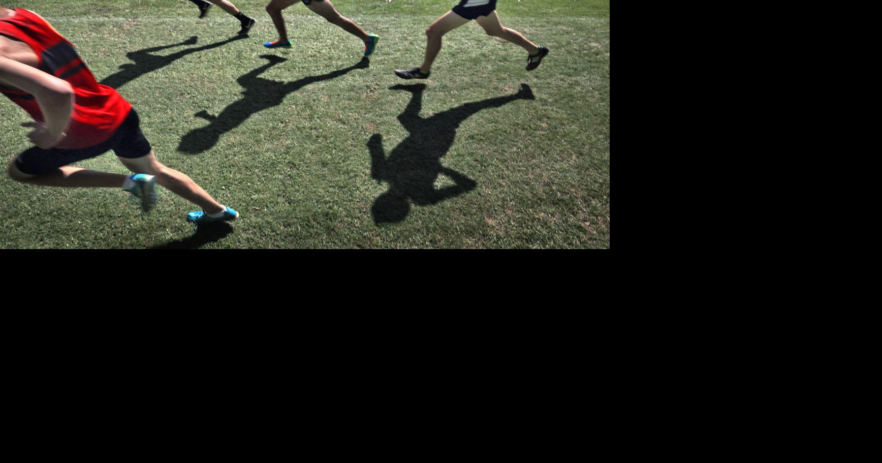 Cross Country: Luebbe leads Eagles, Carollo leads Whippets at RVC meet ...
