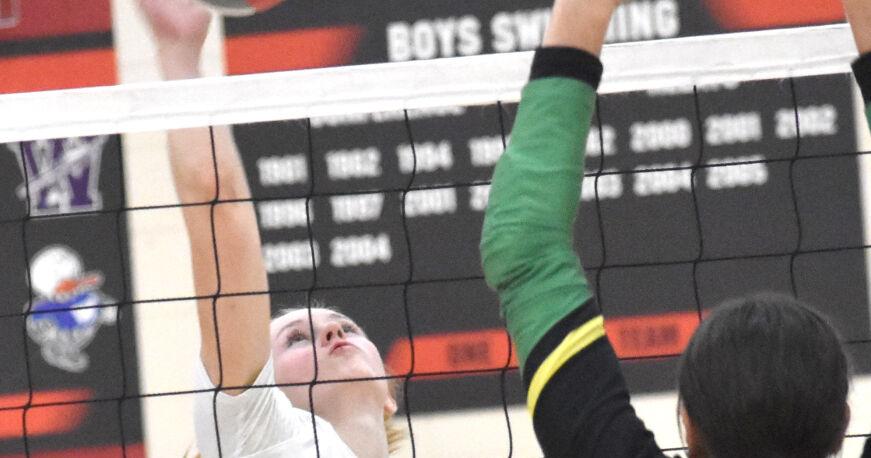 Fort Atkinson's Andi Spies repeats as Badger East Player of the Year in ...