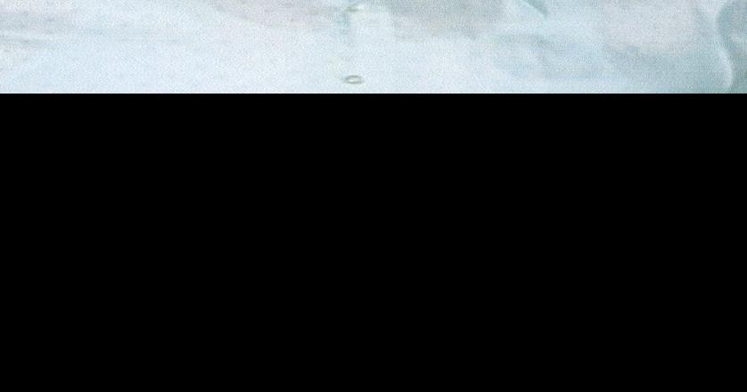 John Louis Musgrove, Sr., Fort Atkinson | Obituaries | dailyunion.com