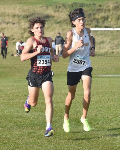 Cross country: Fort's Worden runs away with girls title, Stricker 2nd ...