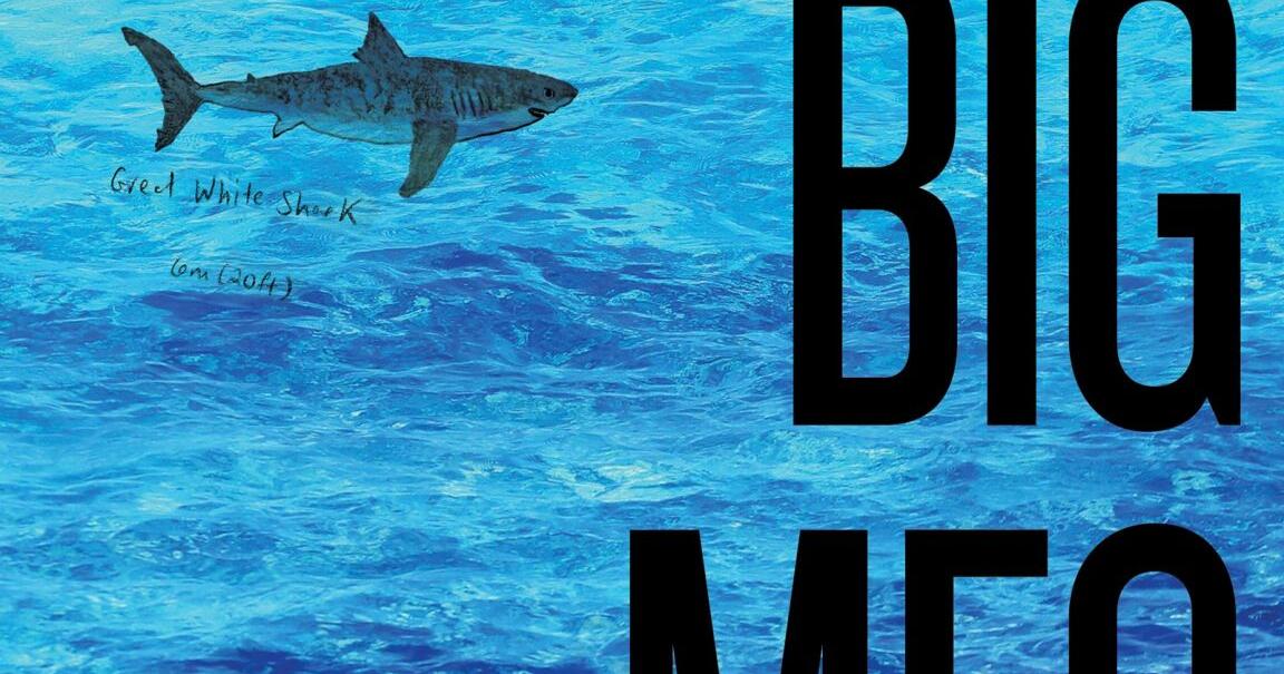 Book review: "Big Meg" by Tim and Emma Flannery | Arts And ...