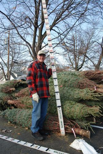 Holiday tradition: Rabl’s Christmas tree stand opens at Frostie Freeze ...