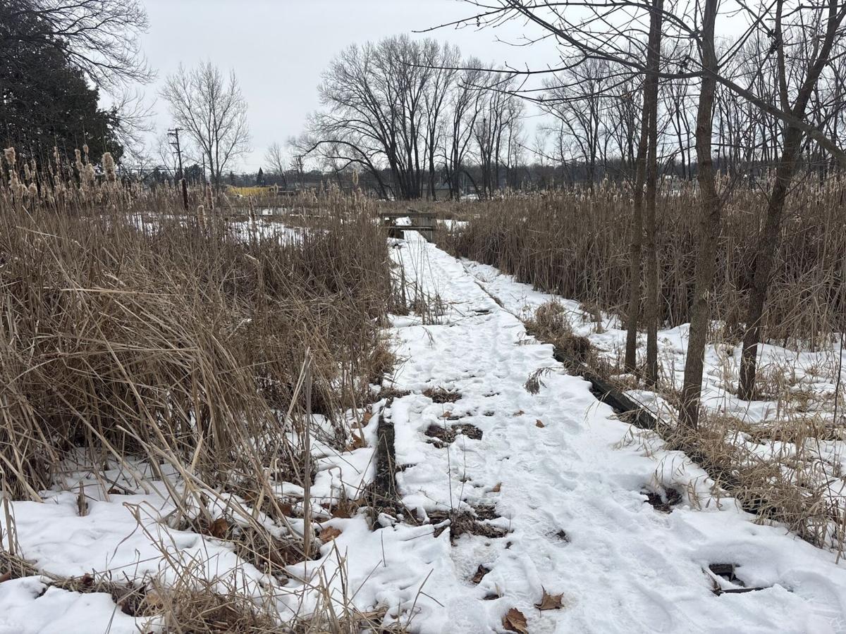 Project LEAD sets to renew Brietzke Educational Wetland | Local ...
