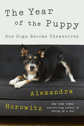 Bookworm review: "The Year of the Puppy: How Dogs Become themselves ...